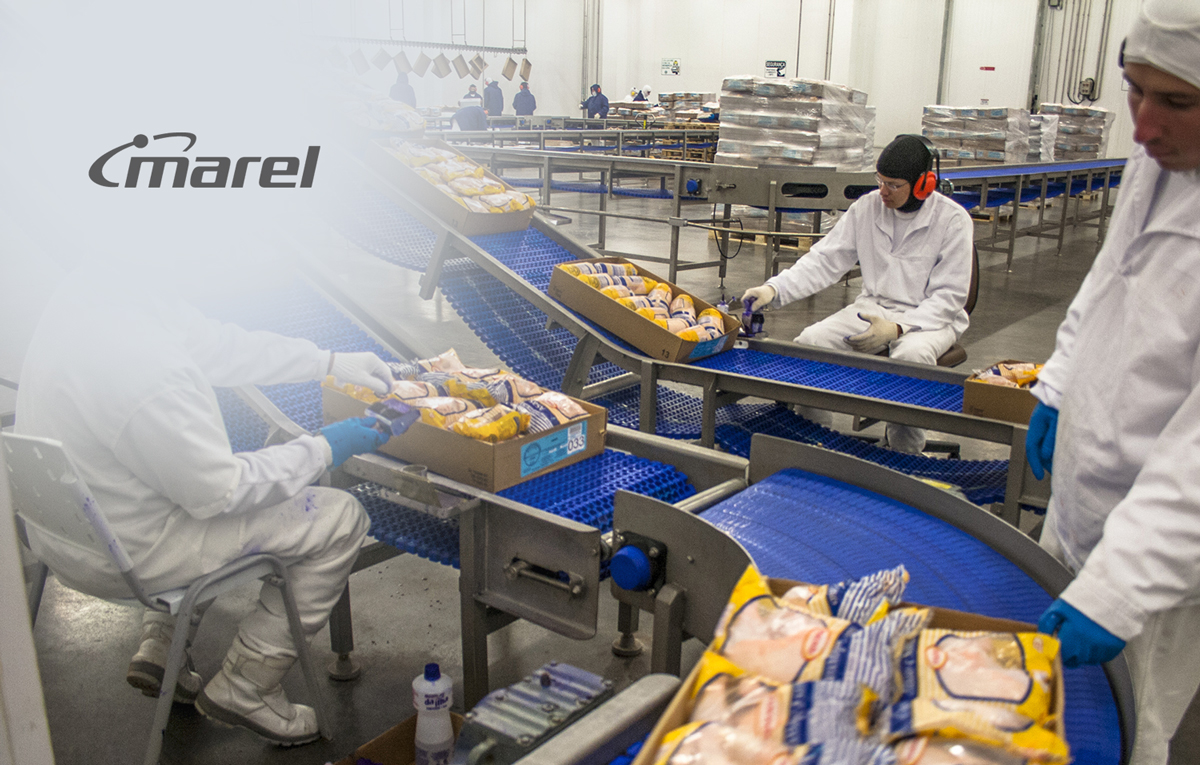 Marel, ¿Cómo crecer al 20% en un sector defensivo? | Rankia