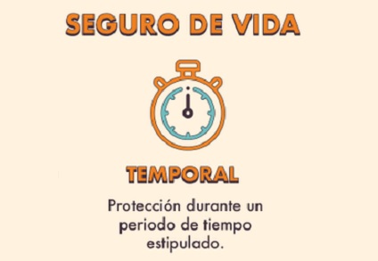 ¿Qué es un seguro de vida temporal? | Rankia