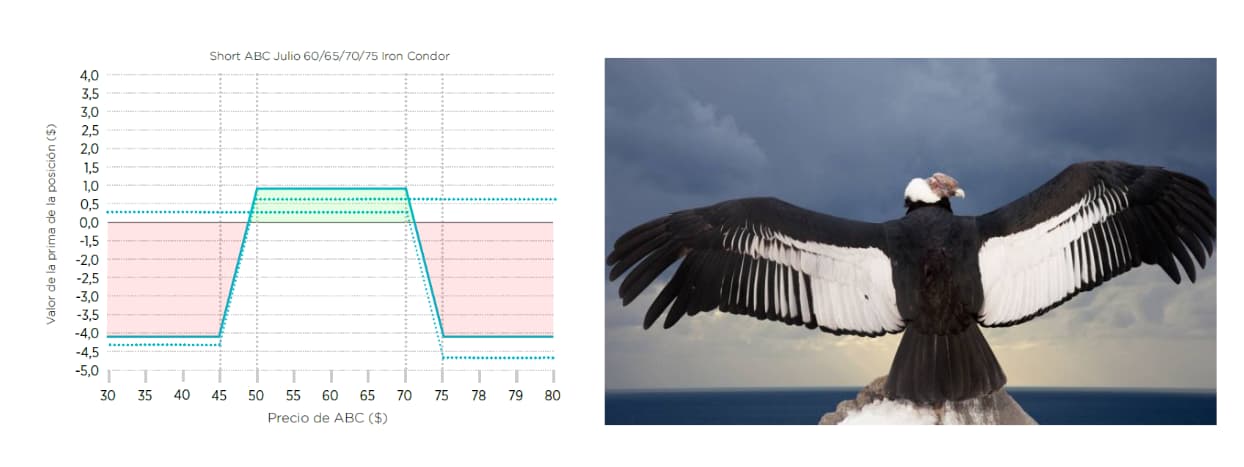 ¿Qué es el Iron Condor? | Una estrategia de opciones | Rankia