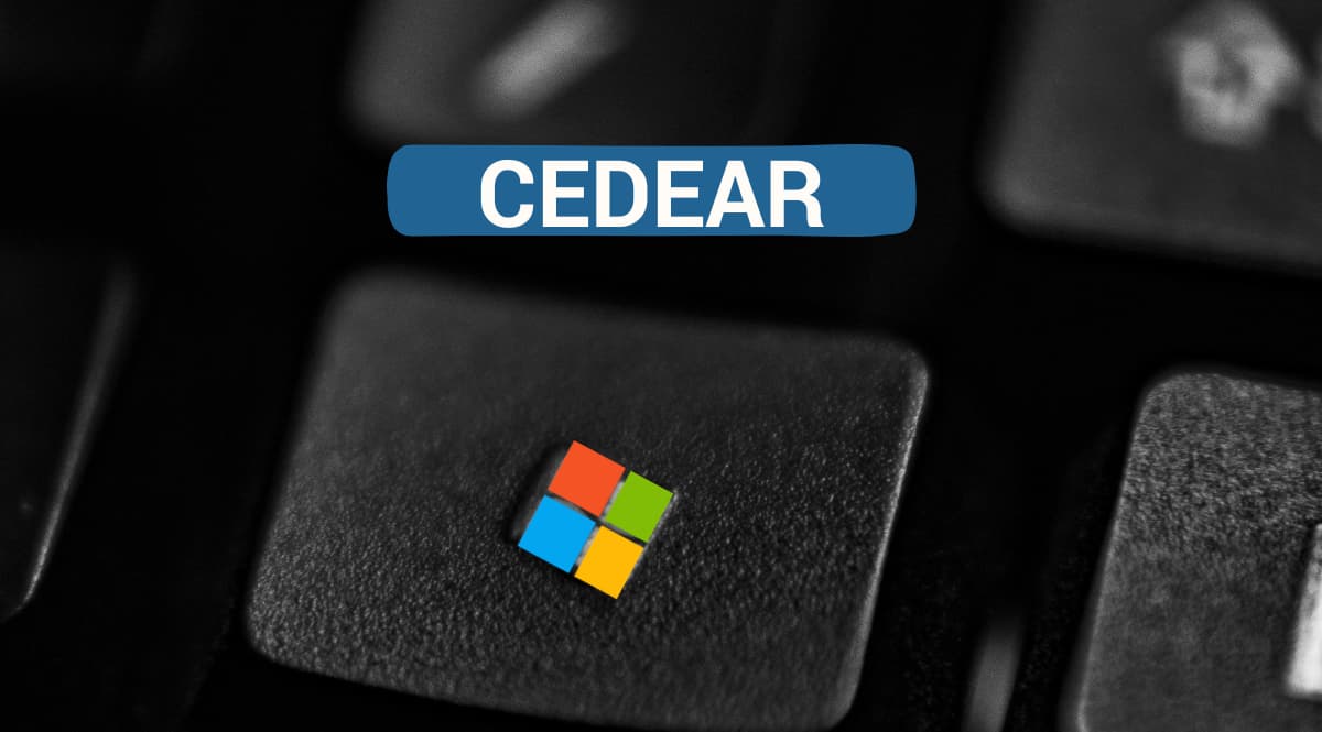 CEDEAR Microsoft: Cómo comprar y ratio | Rankia